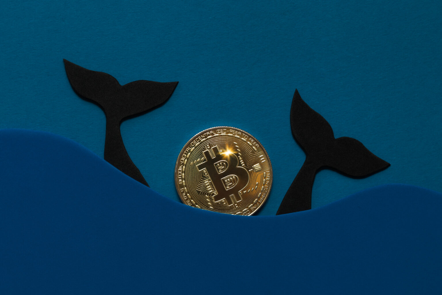 How to Follow Crypto Whales: On-Chain Data Analysis - RockX